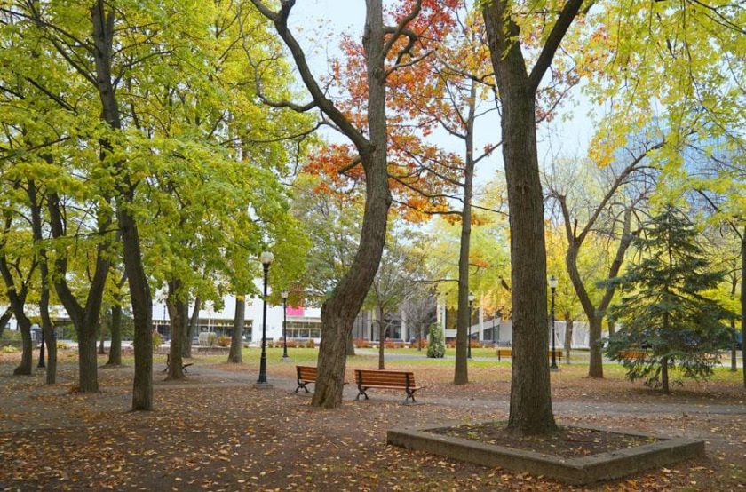 Parcs et espaces verts | Site officiel de la Ville de Trois-Rivières